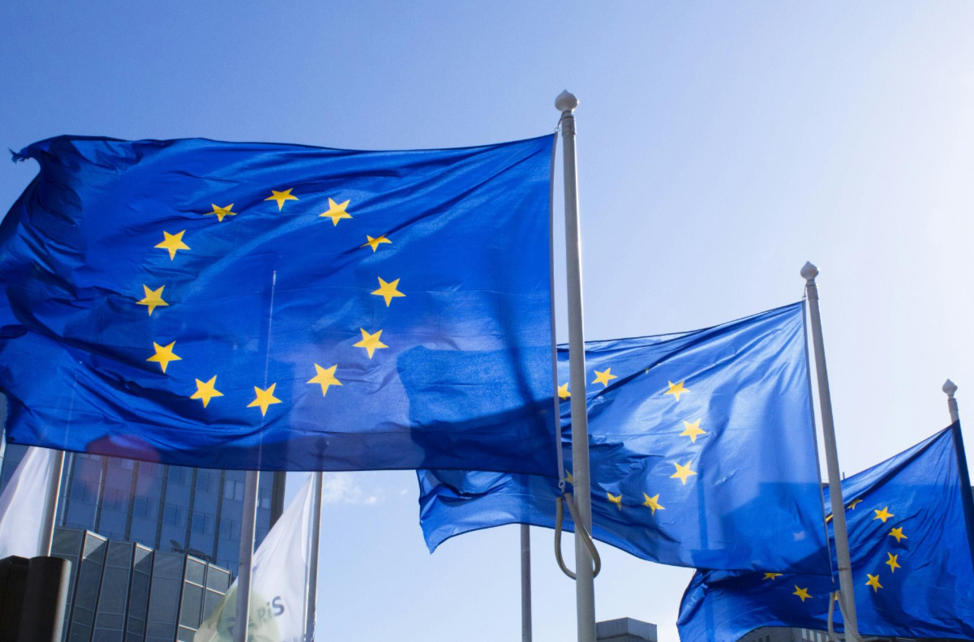 Europe slowly says goodbye to coal: A paradoxical effect?